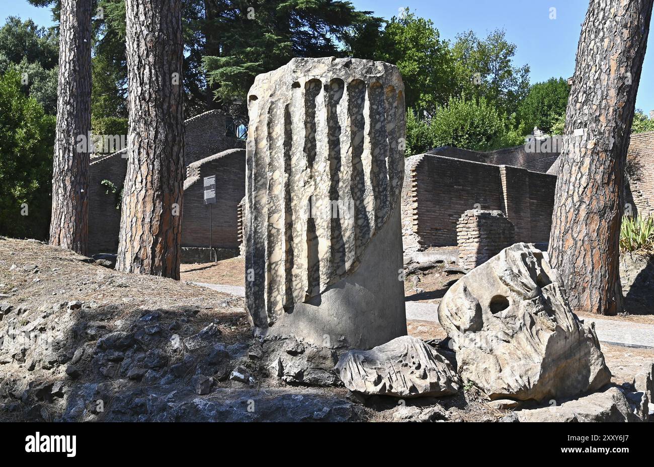 Fragments of a column and the pine trees Stock Photo - Alamy