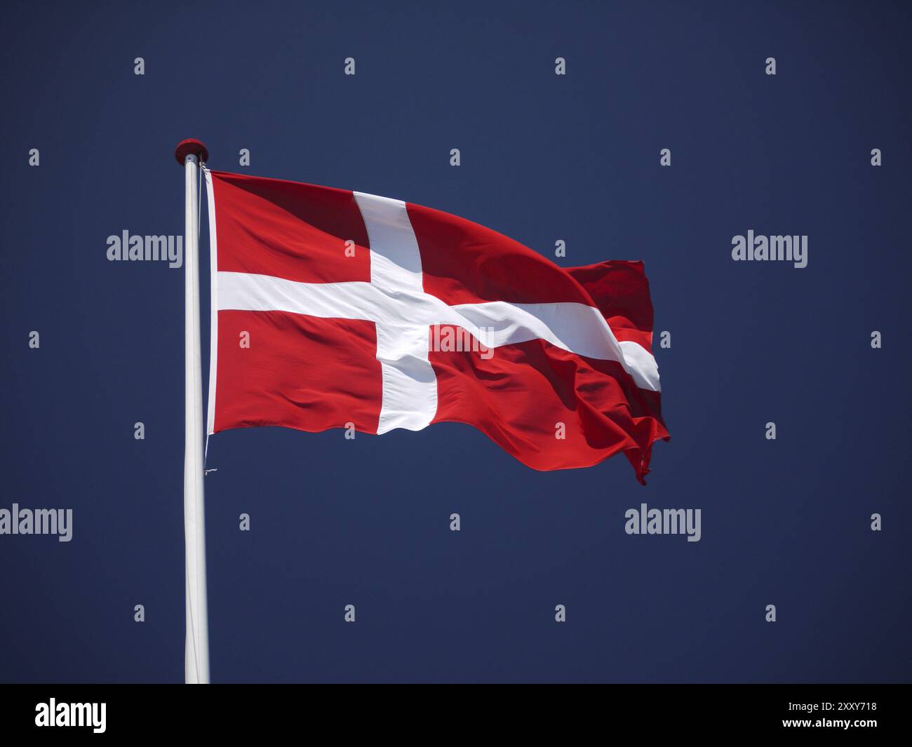 Danebrog, the Danish national flag flutters in the summer wind. The ...