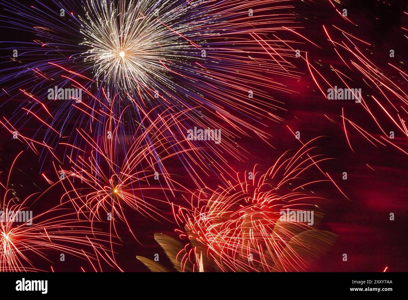 Shiny bright fireworks and salute of various colors in the night sky ...