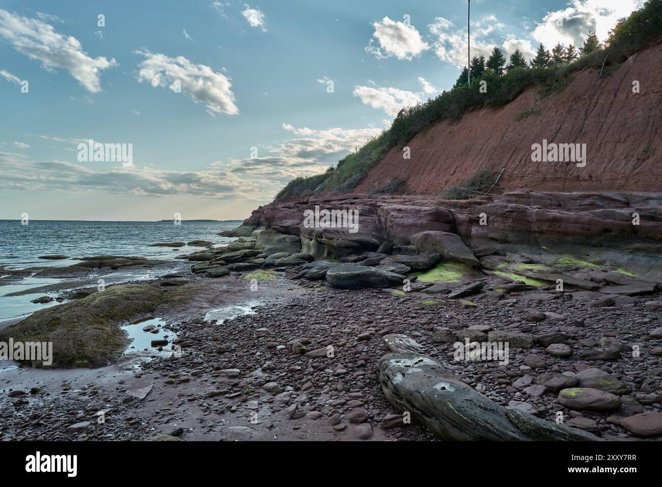 Prince Edward island ocean shoreline Stock Photo - Alamy