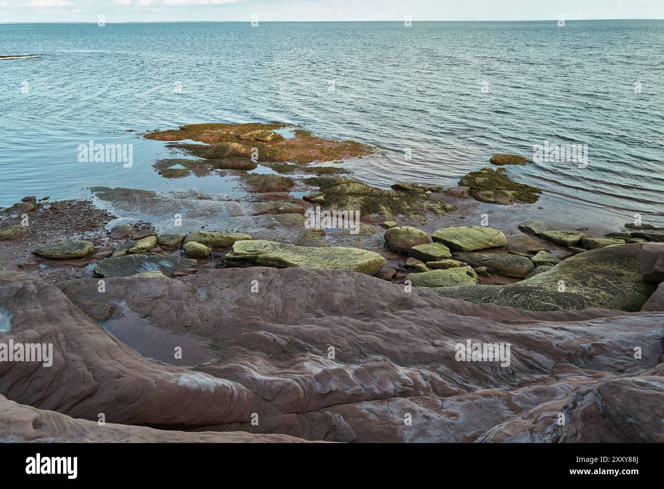 Prince Edward island ocean shoreline Stock Photo - Alamy