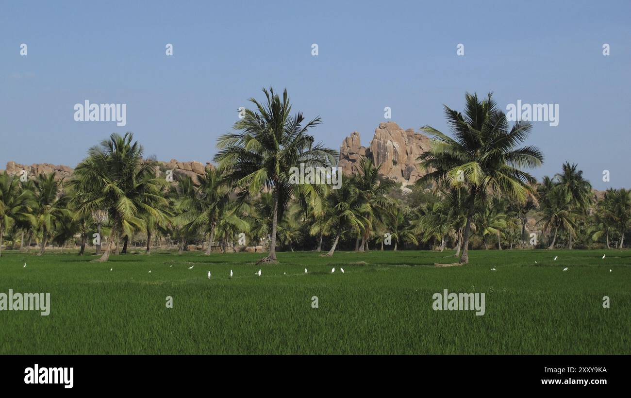 One of the most beautiful spot india hi-res stock photography and ...