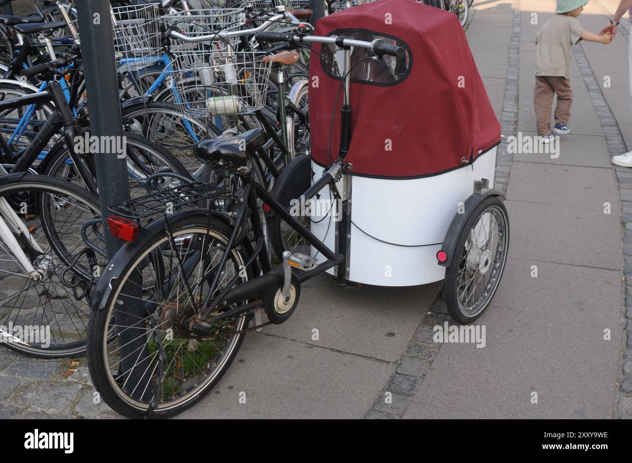 Copenhagen/ Denmark/26 August 2024/ Cargo bikes are very popular in ...