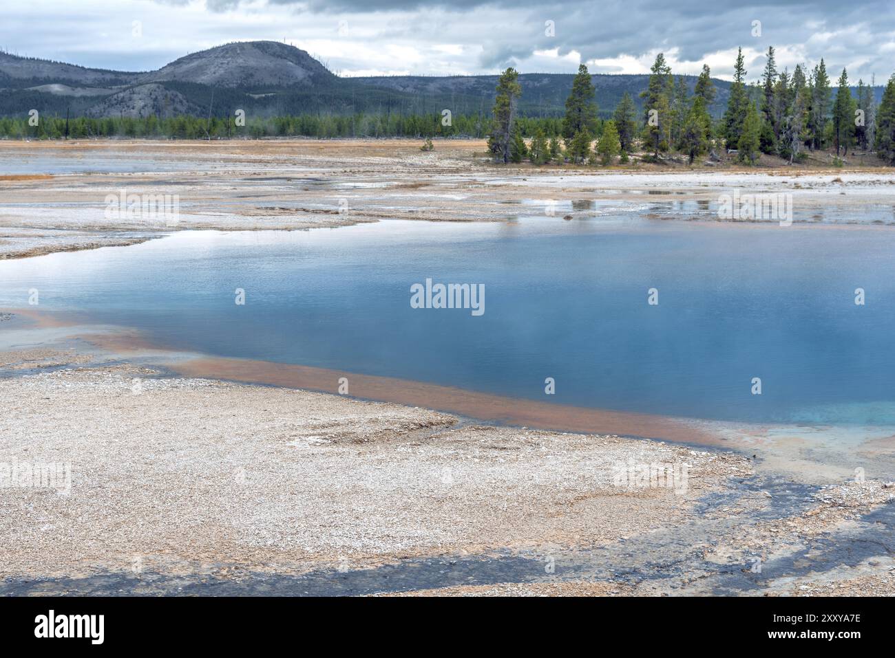 View of the Grand Prismatic Spring Stock Photo - Alamy