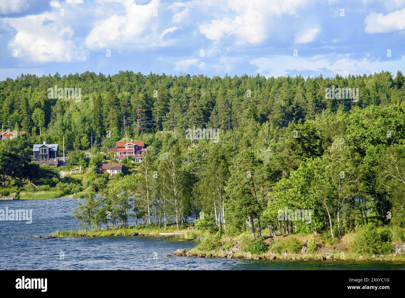 Forest landscape with scattered houses on the lakeshore in sunny ...