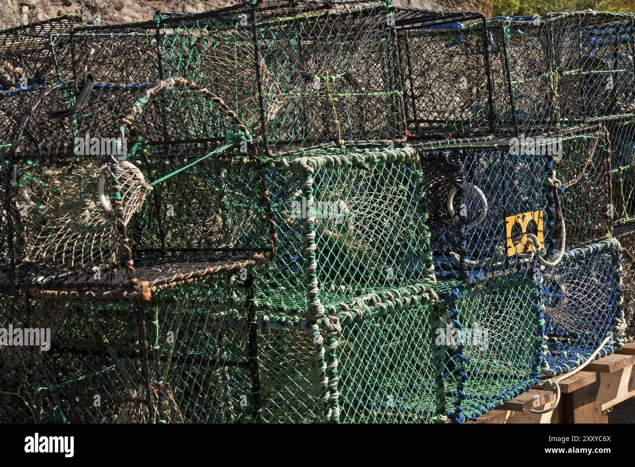 Lobster and fish cages to catch benthic seafood Stock Photo - Alamy