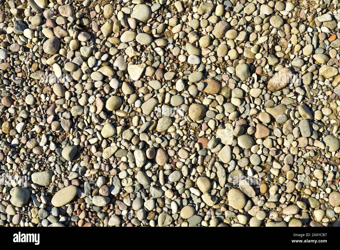 Shallow marine colored pebbles. Background natural horizontal Stock ...
