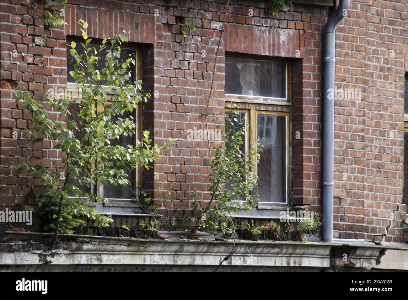 Window of a ruined house Stock Photo - Alamy