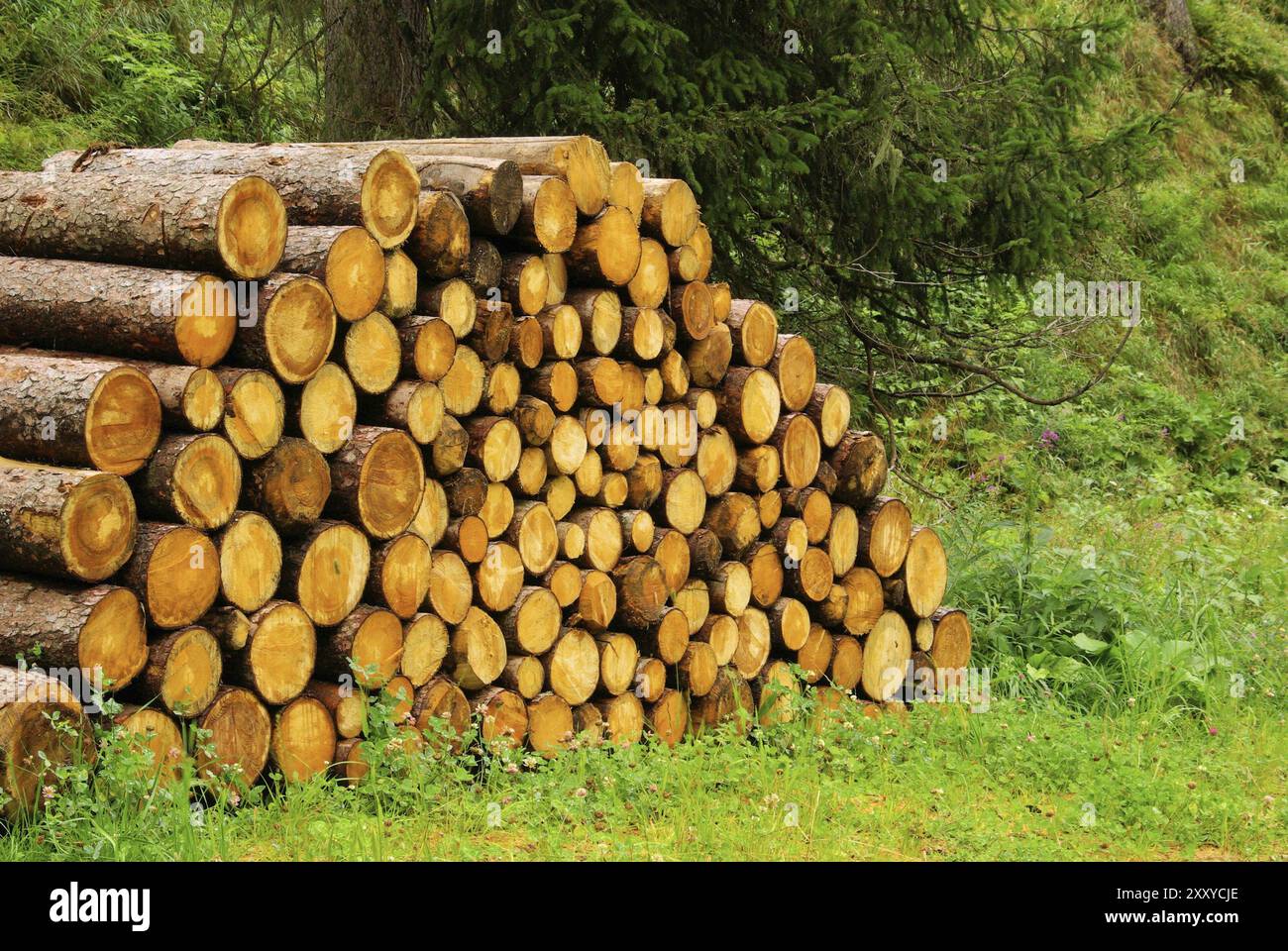 Holzstapel stapel holz stapel holz hi-res stock photography and images ...