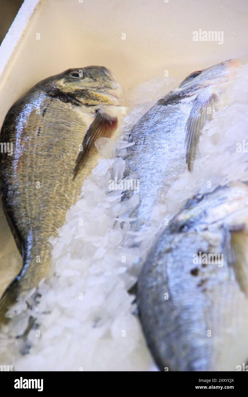 Fish on ice, fish on ice Stock Photo - Alamy