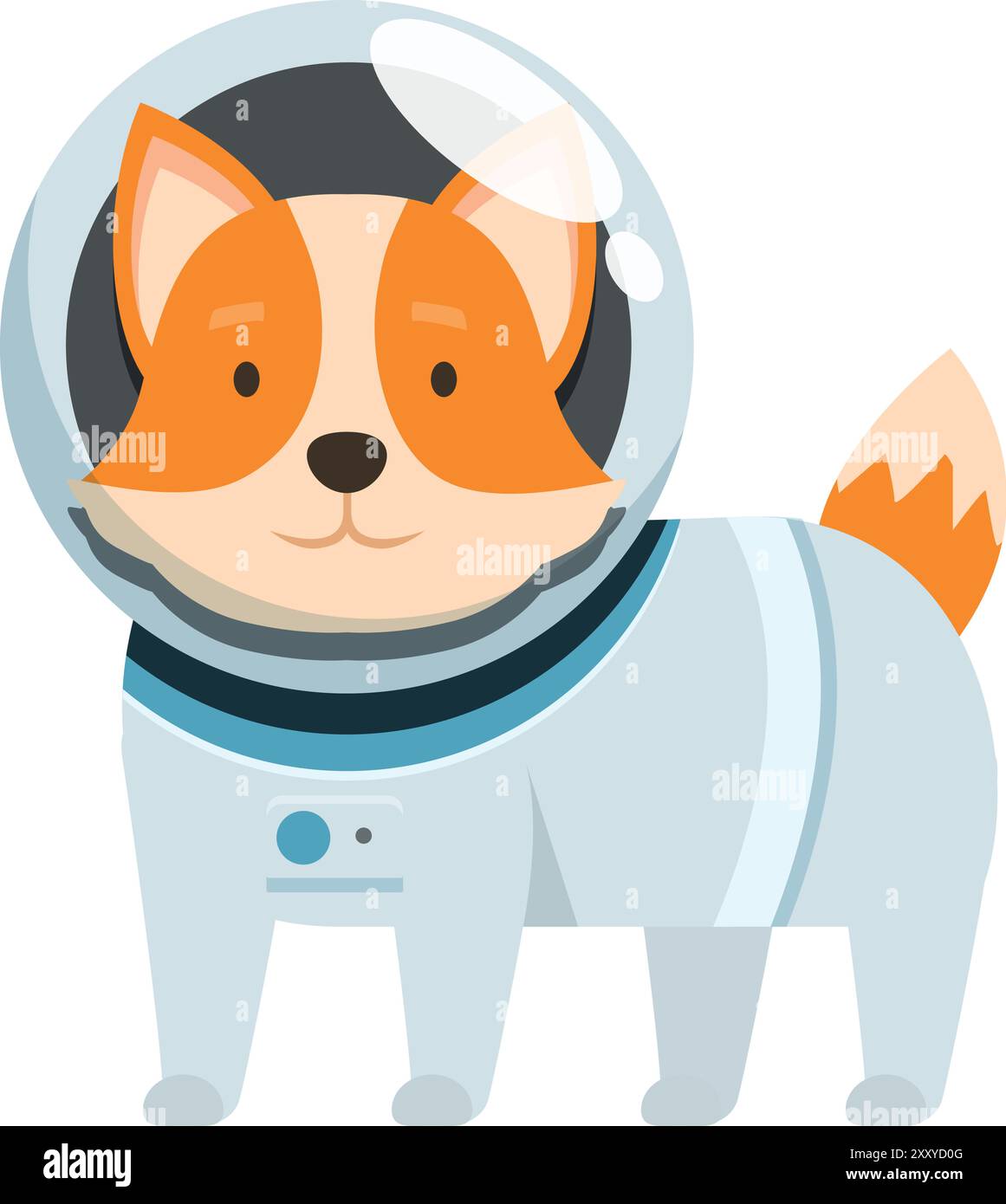 Cute corgi dog wearing an astronaut spacesuit is standing and smiling ...