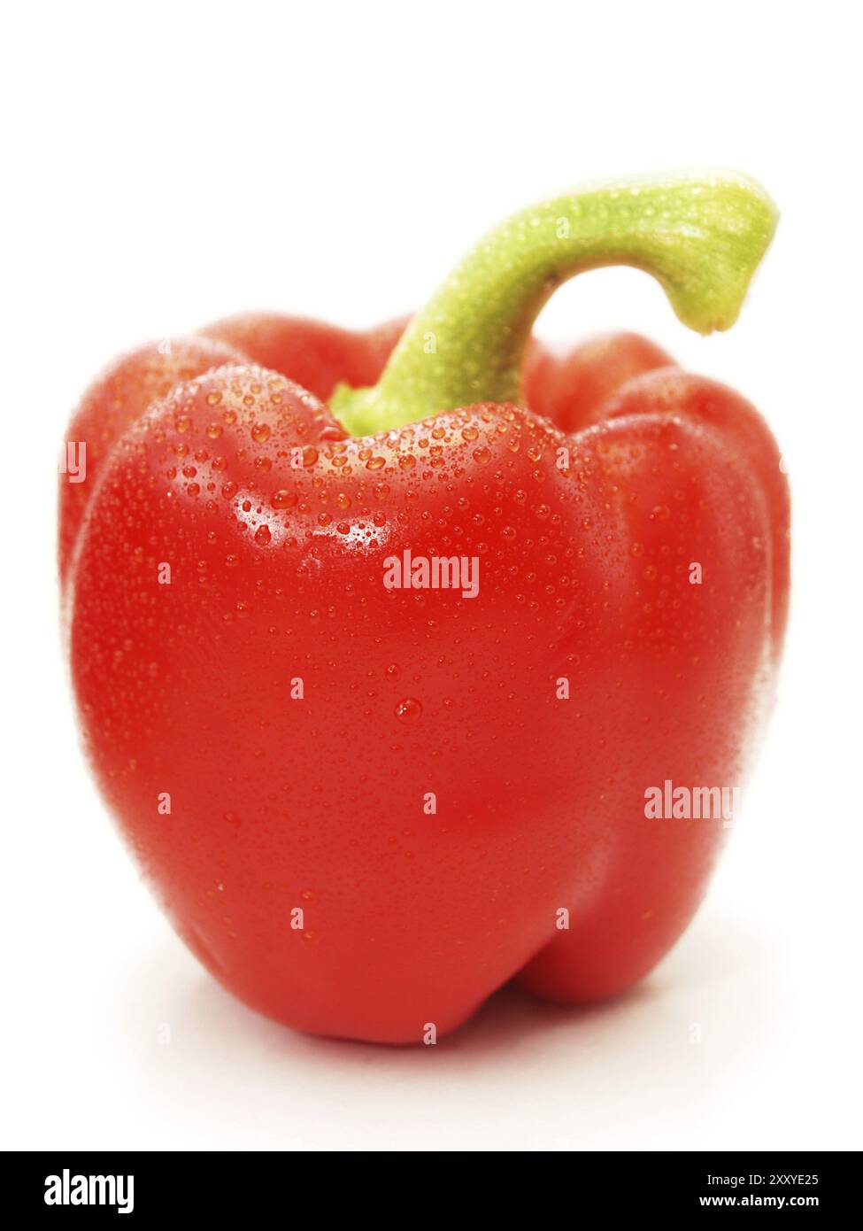 Red pepper vegetable, whole, closeup towards white background Stock ...