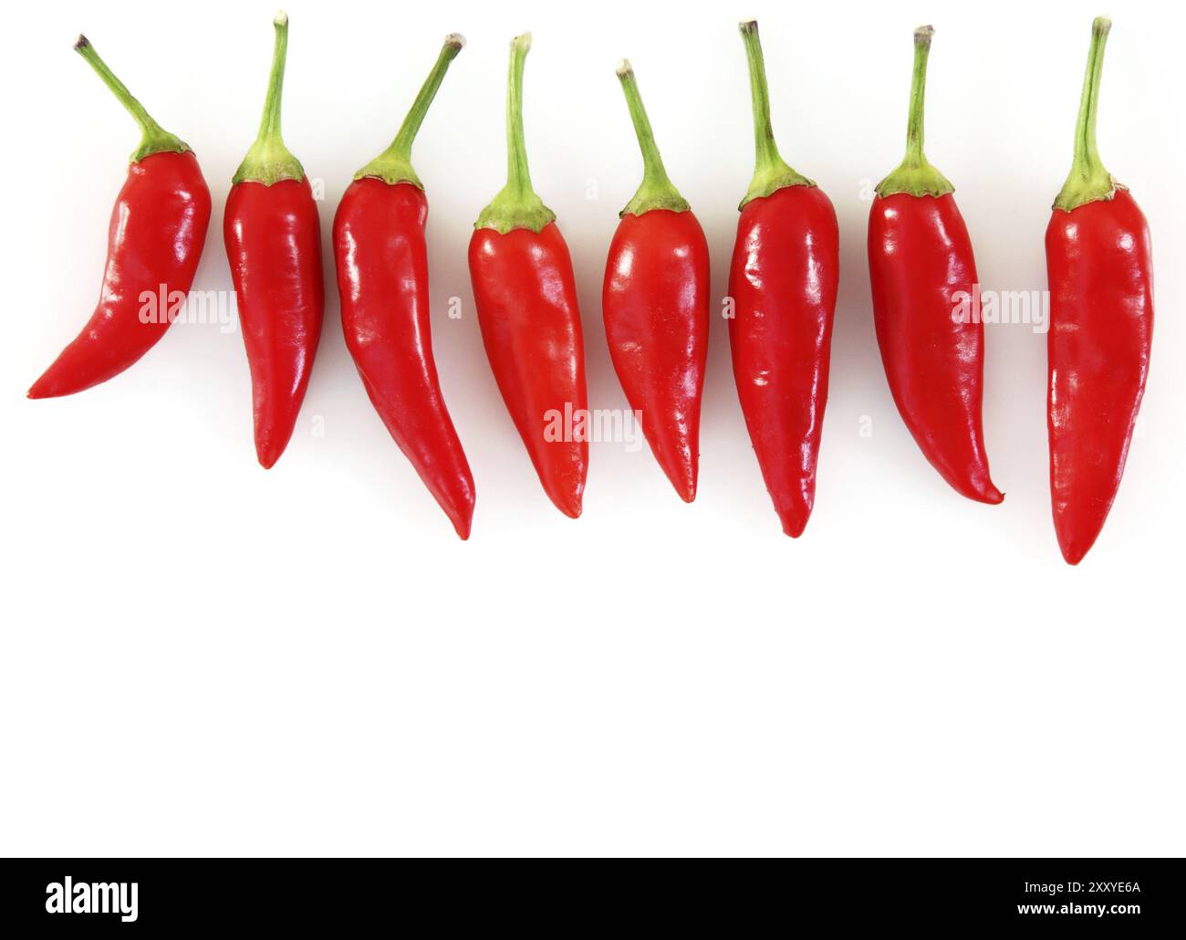 Red hot pepper over white background with copyspace Stock Photo - Alamy