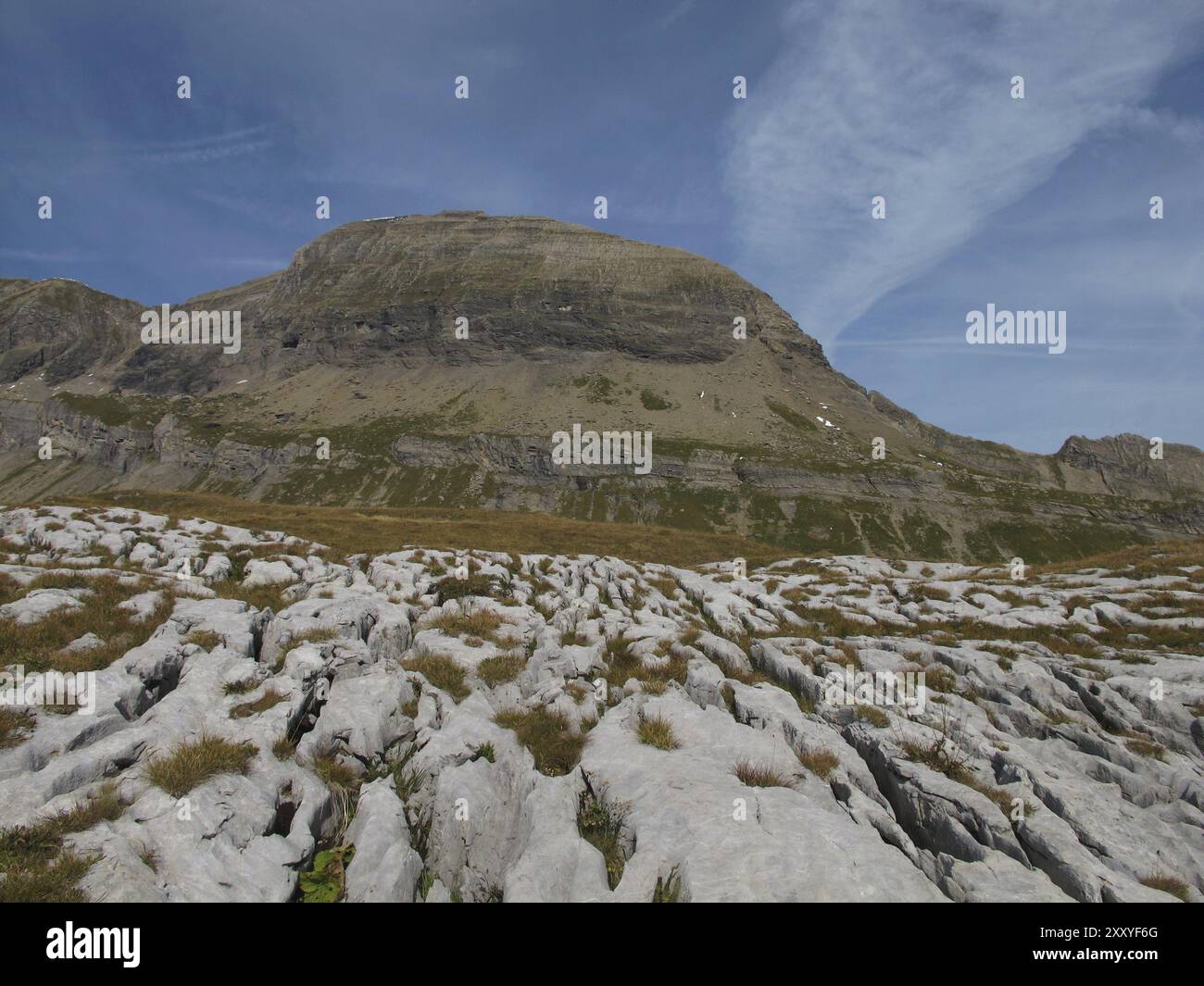 Special rocks hi-res stock photography and images - Alamy