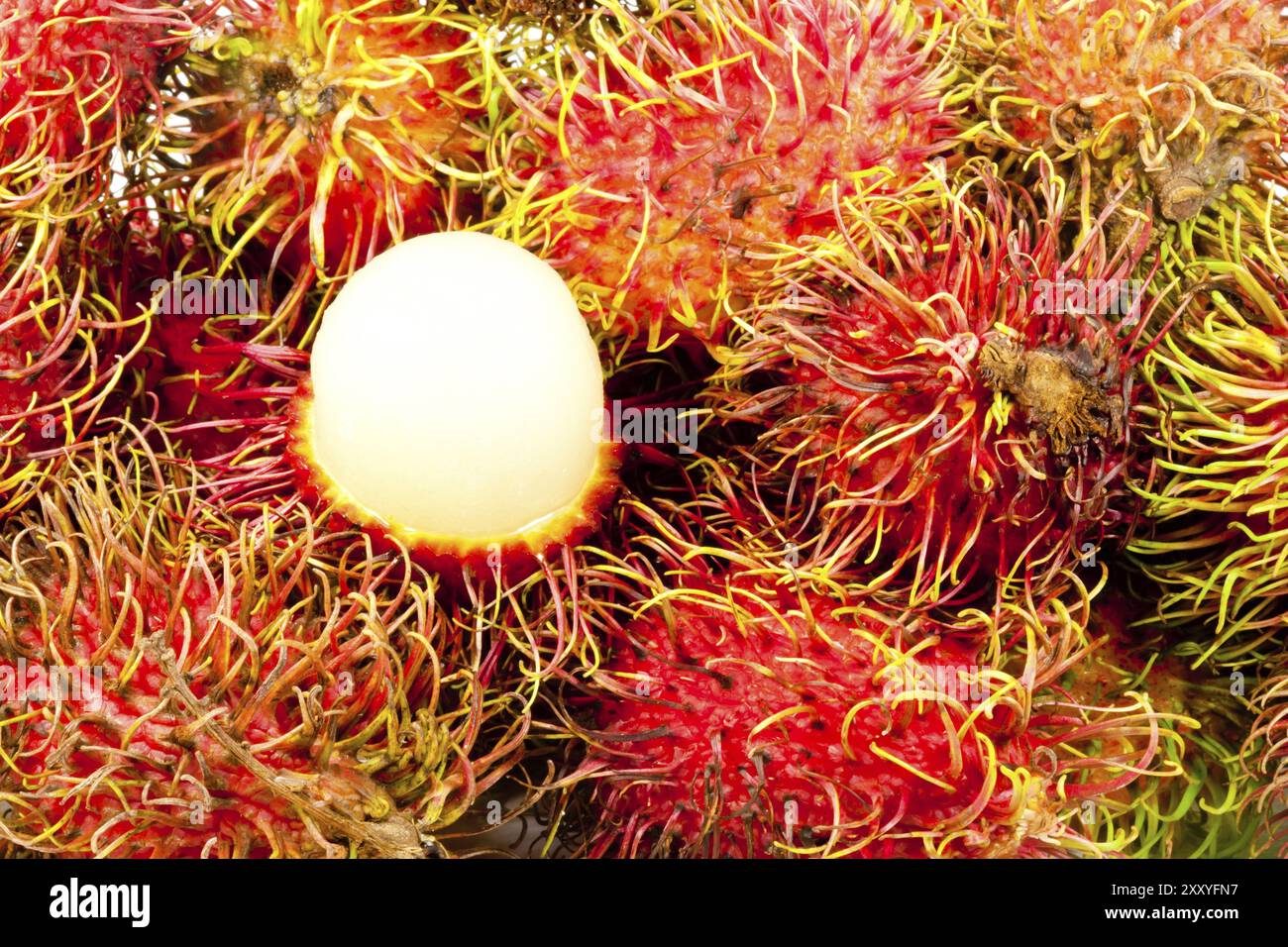 Rambutan, a tropical fruit on white background Stock Photo - Alamy