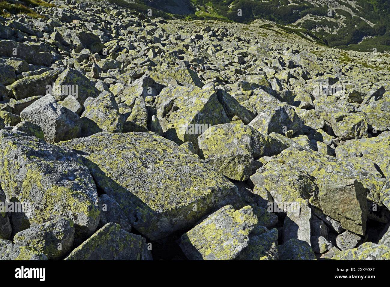 Rock debris on the south side of Swinica Stock Photo - Alamy