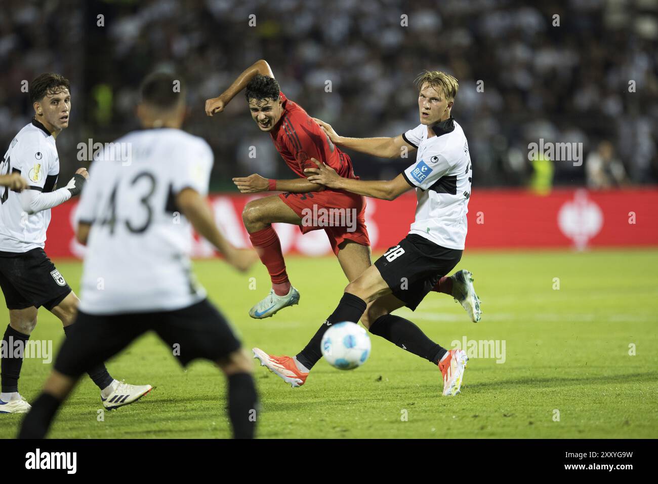 Football match, Aleksandar PAVLOVIC FC Bayern Munich left in a duel for ...