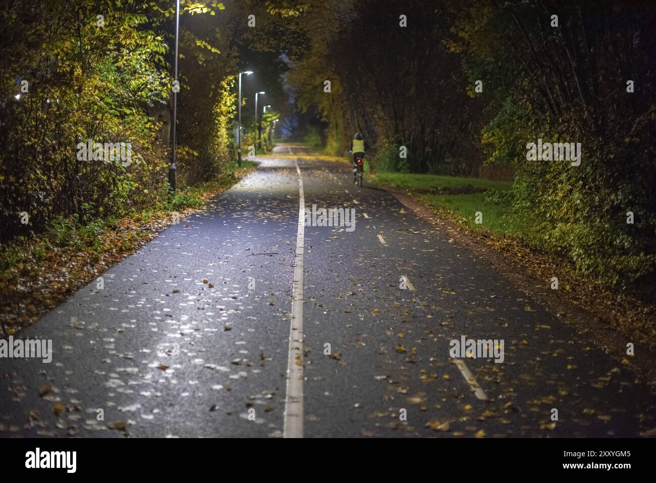 Almost covered hi-res stock photography and images - Alamy