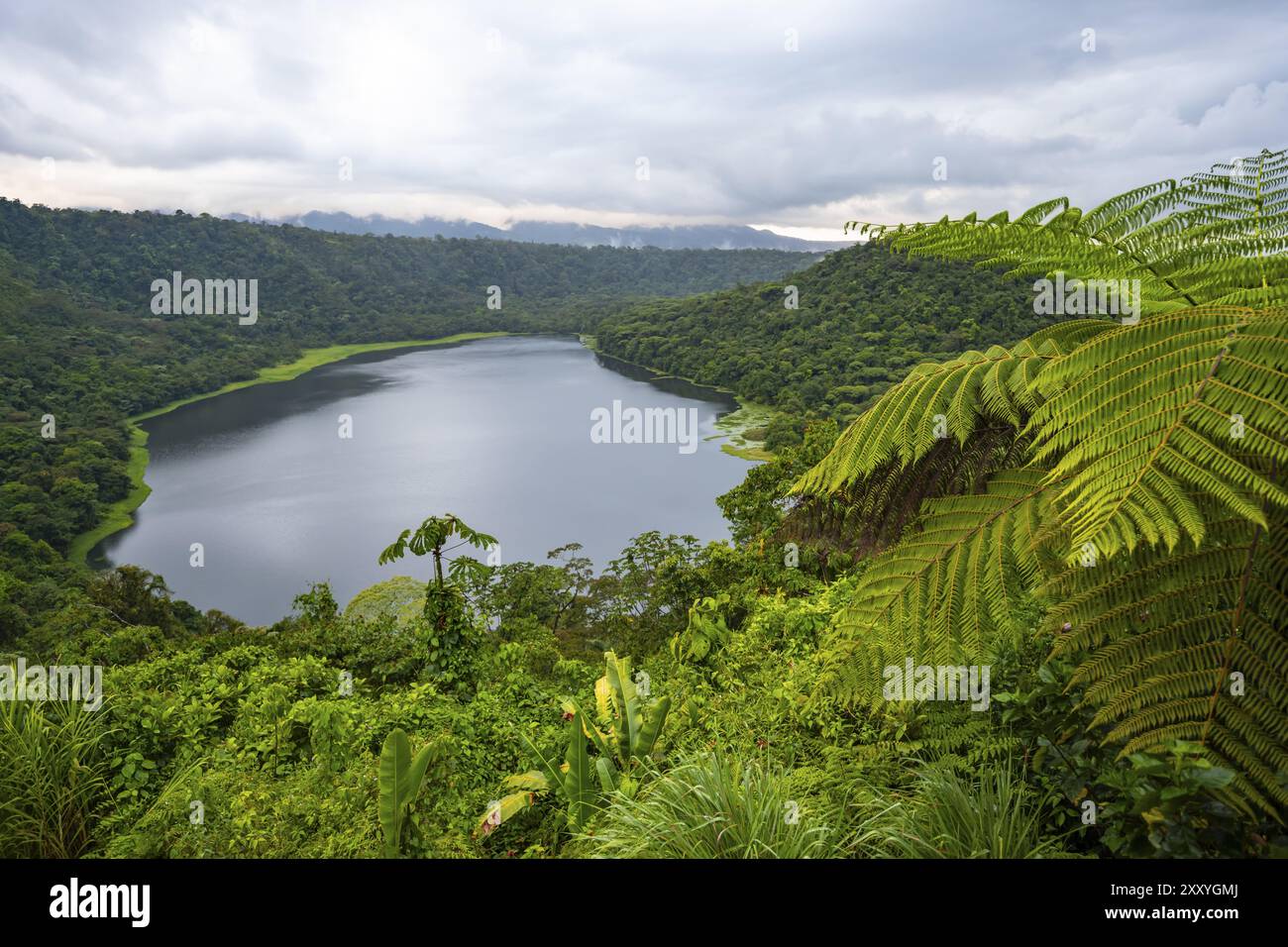 Volcanic crater lake Laguna de Hule with tropical rainforest, Refugio ...