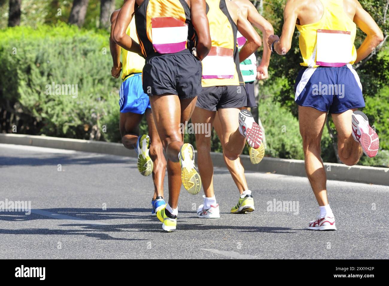 Group of marathon racers running Stock Photo - Alamy