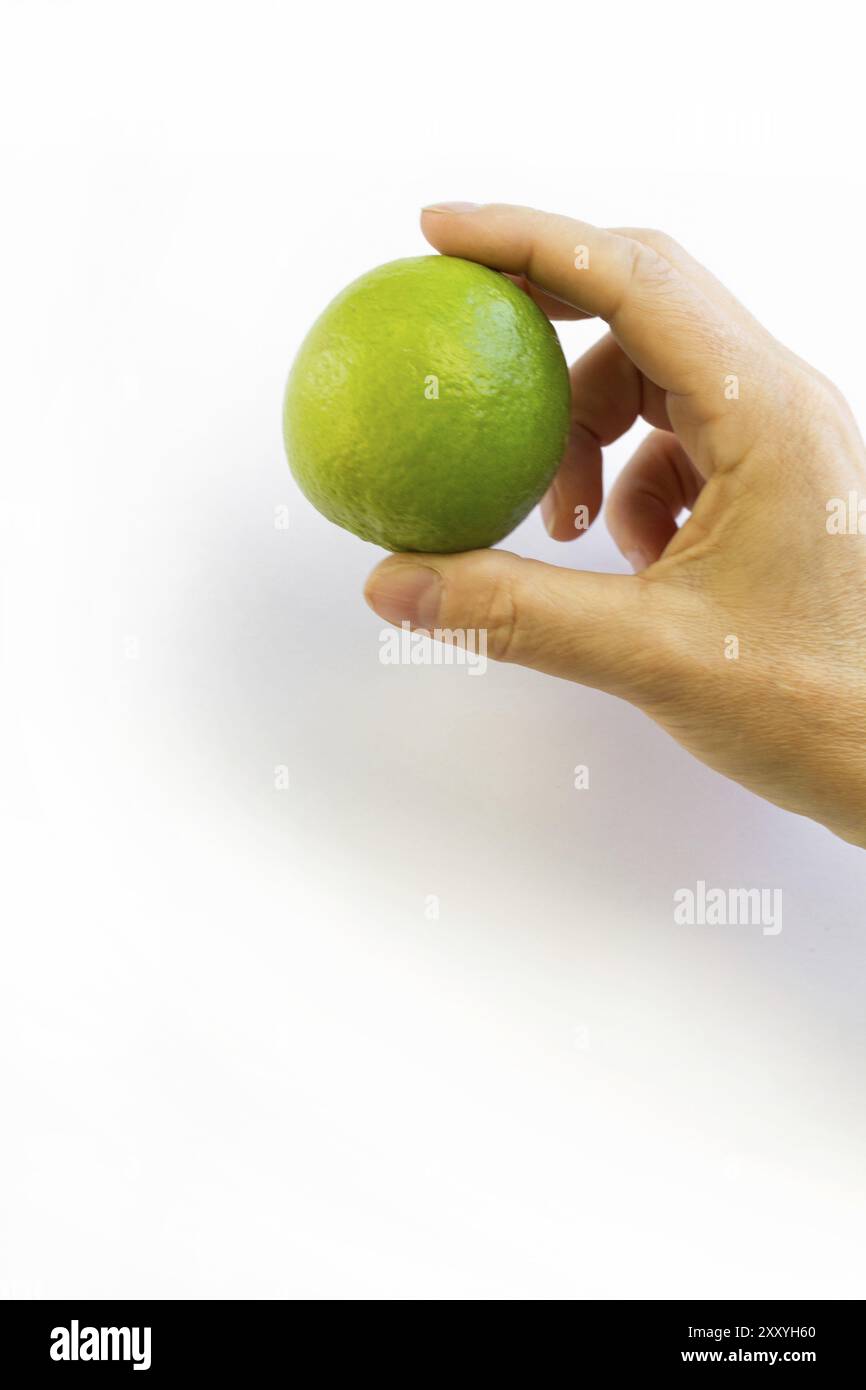 Hand holding lime on white background Stock Photo - Alamy