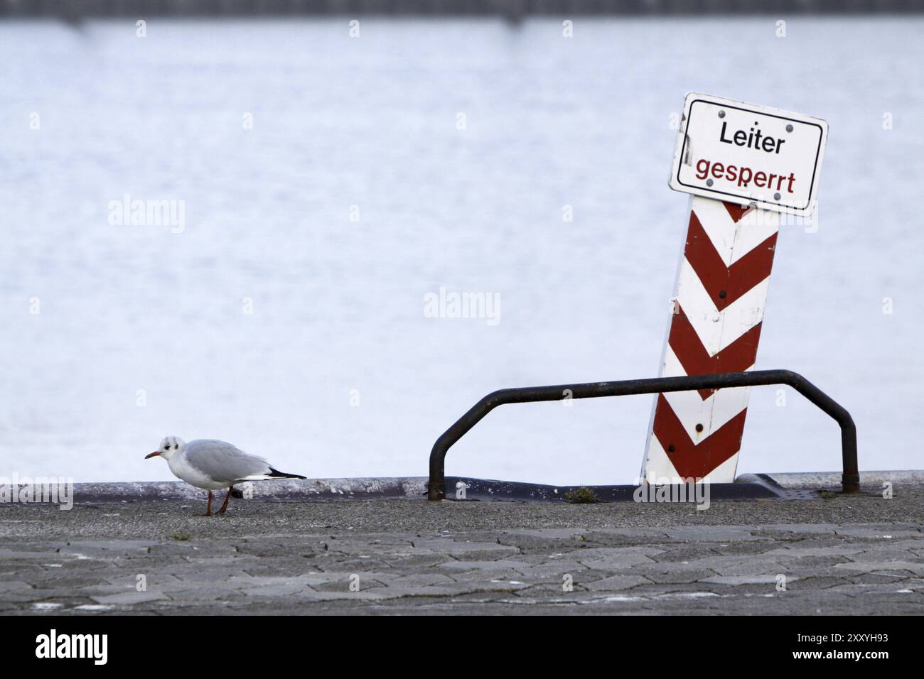 Quay ladder port hi-res stock photography and images - Alamy