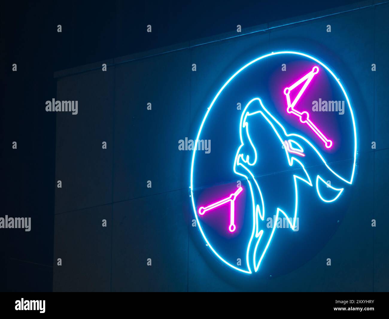 Neon wolf logo hi-res stock photography and images - Alamy
