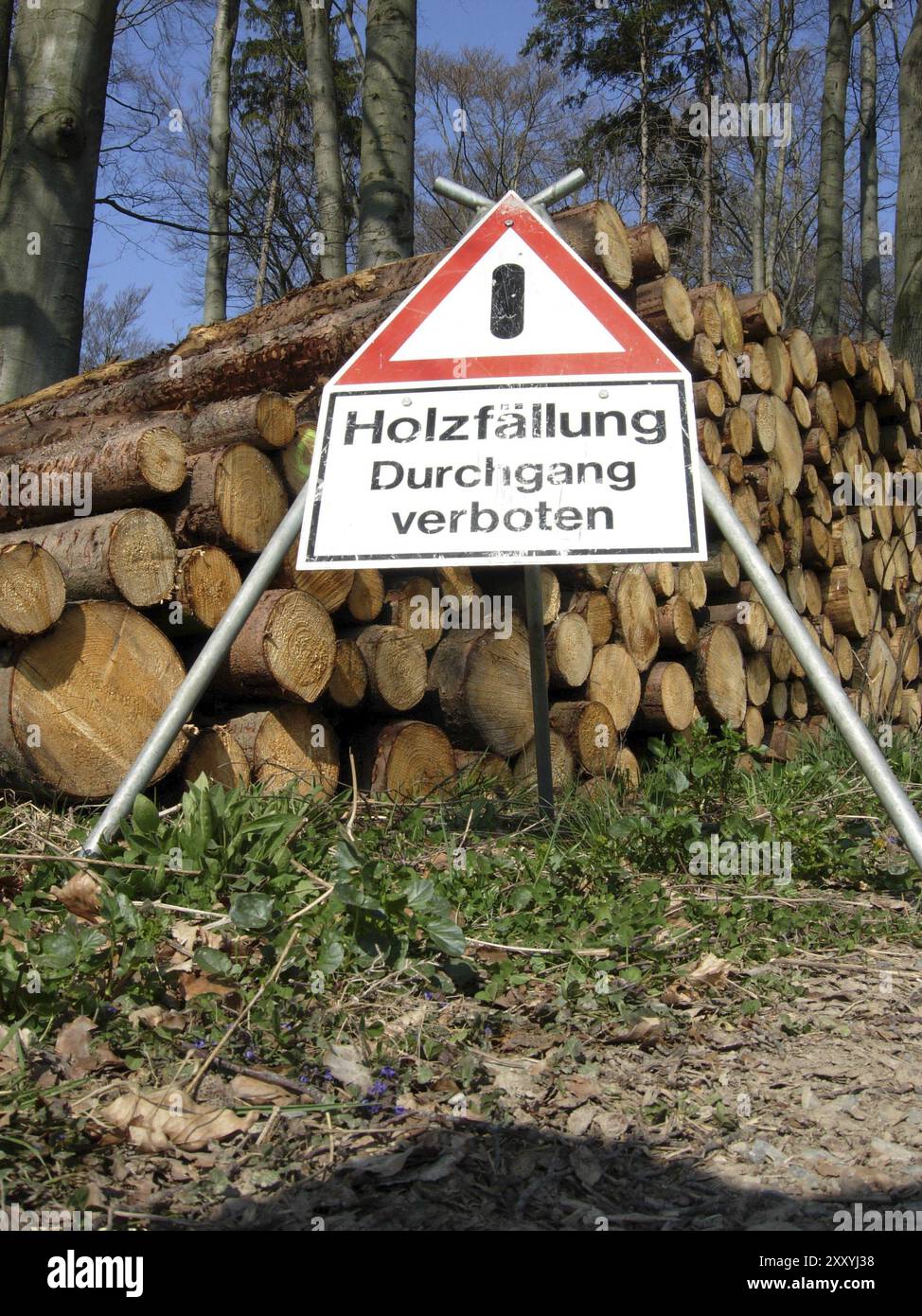 Warning sign on a forest path Stock Photo - Alamy