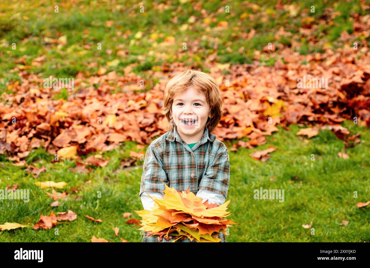 Autumn leaves. Happy child walking in autumn park. Cute boy playing ...