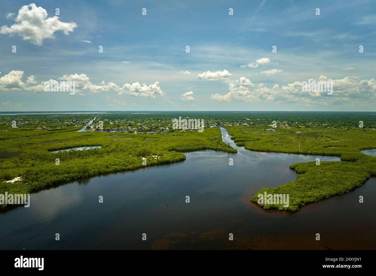 Aerial view of Florida wetlands with green vegetation between ocean ...