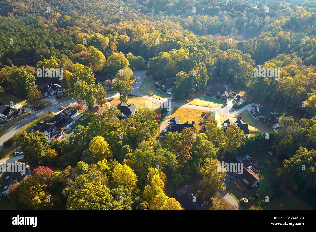 Aerial view of new family houses between yellow trees in South Carolina ...