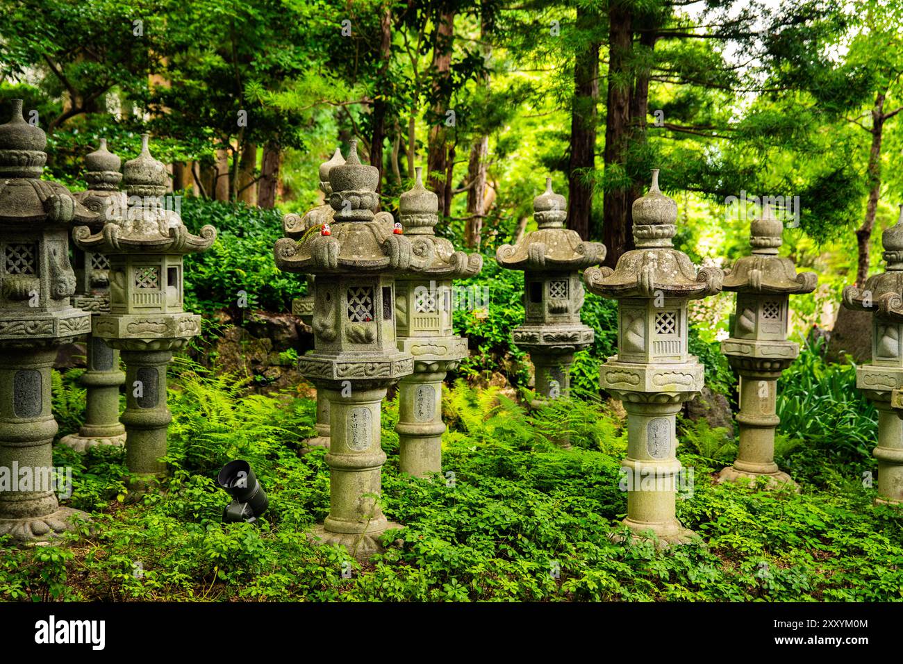 Katsuoji, the Temple of Daruma Dolls, in Osaka, Japan Stock Photo - Alamy