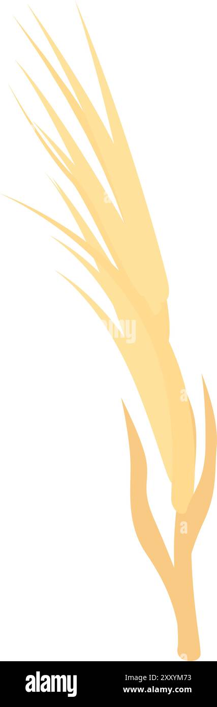 Single branch of wheat standing upwards with grains growing, a symbol ...