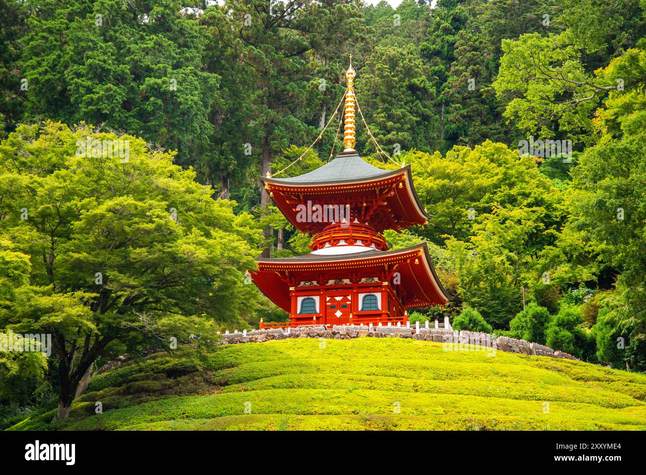 Katsuoji, the Temple of Daruma Dolls, in Osaka, Japan Stock Photo - Alamy