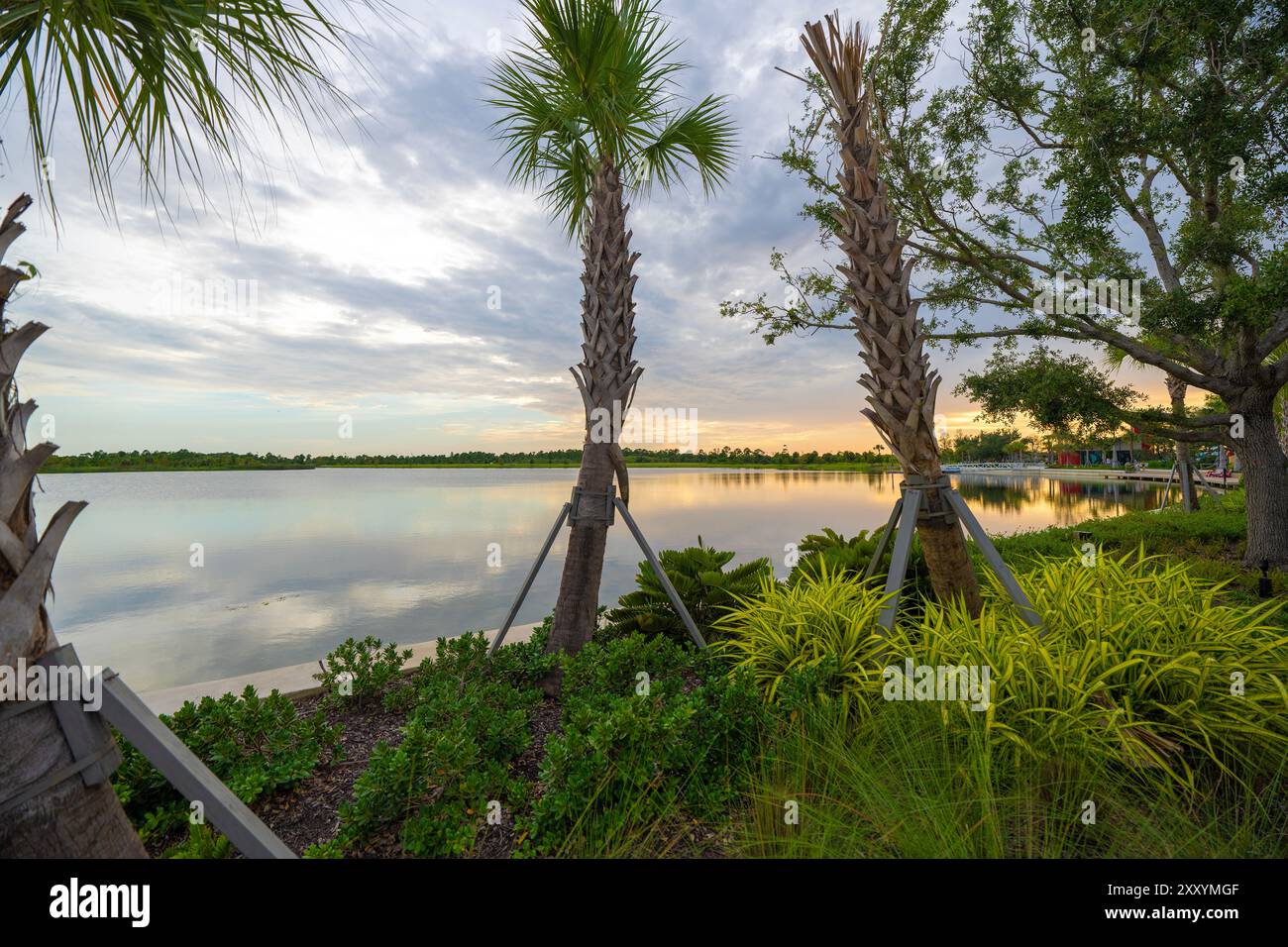 Florida lake nature at sunset. Recreational wildlife area in Wellen ...
