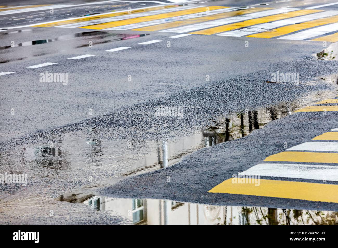 city crossroad with zebra crossing with water puddles after rain Stock ...