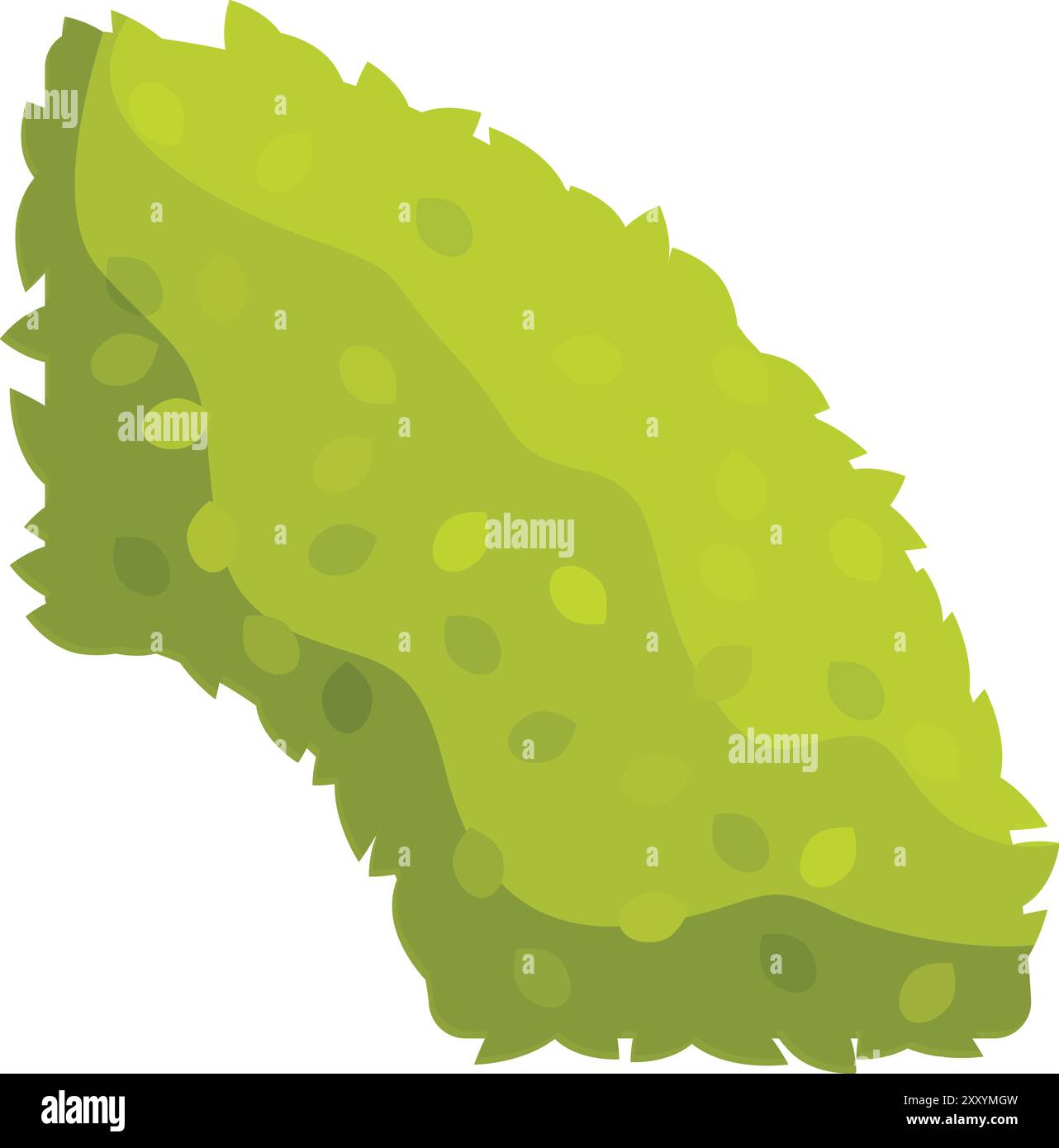 Green bush growing with leaves forming a triangle shape, element for ...