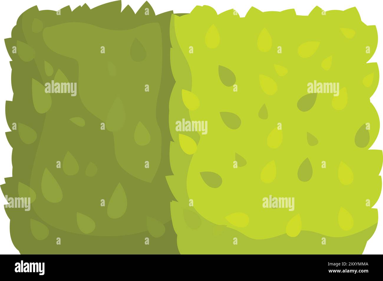 Green bush growing to create a natural wall, perfect for garden design ...