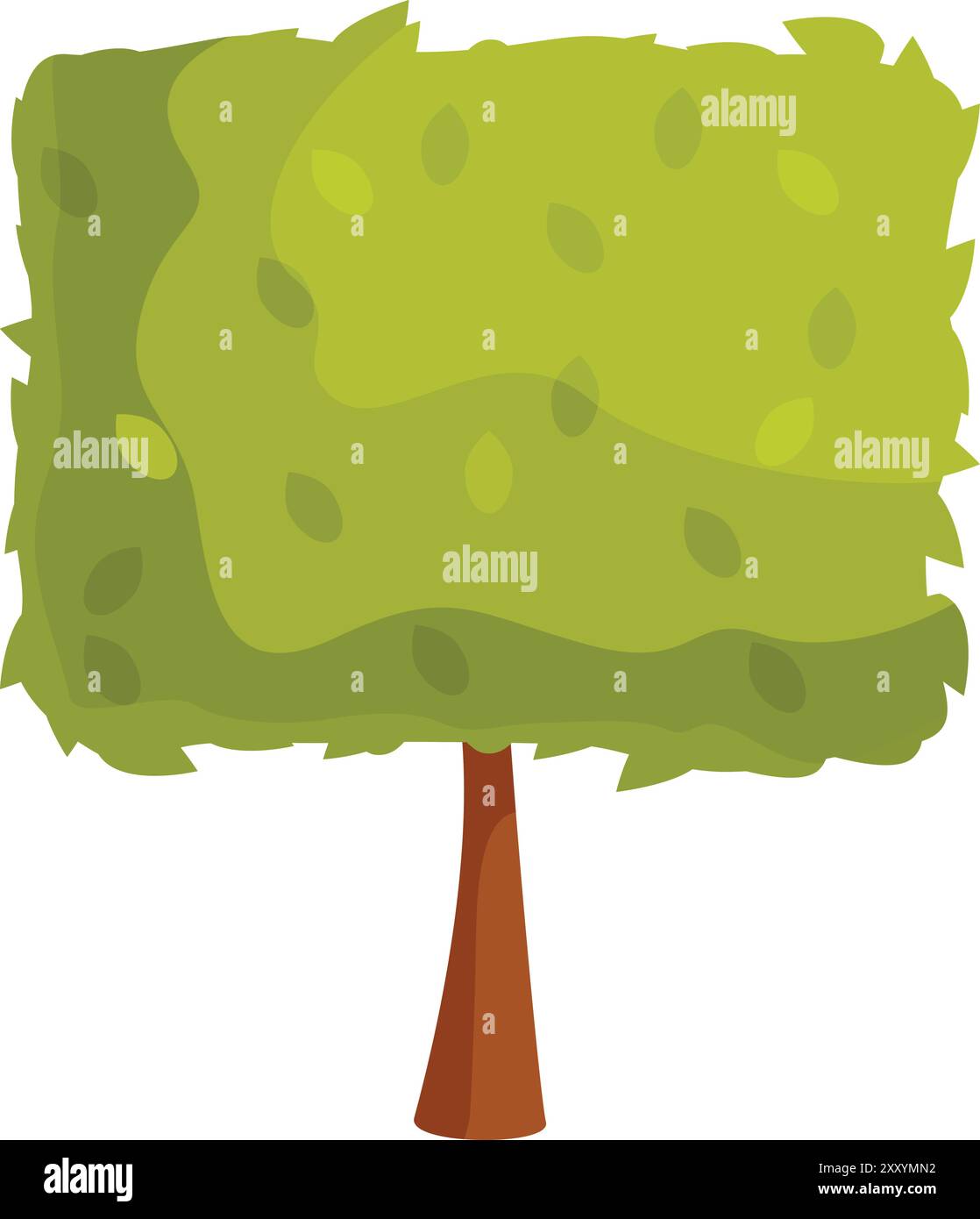 Square shaped green tree growing with lush foliage, nature and botany ... Square shaped green tree growing with lush foliage, nature and botany ...