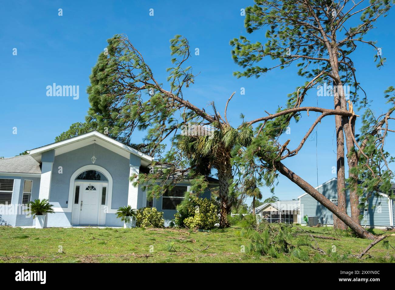 Hurricane damage to a house roof in Florida. Fallen down big tree after ...