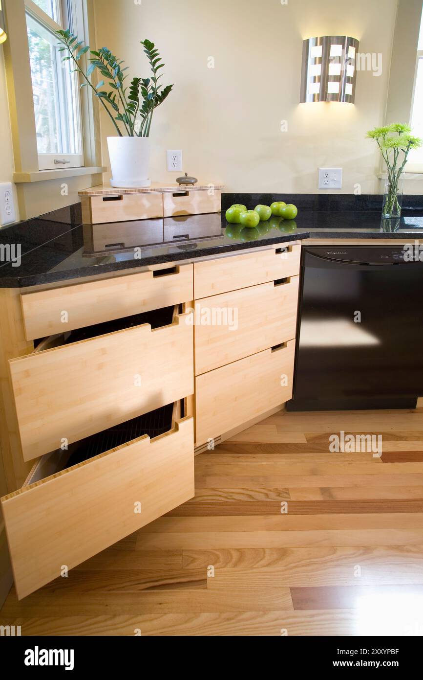 Detail of drawers and countertop in kitchen with bamboo cabinets - door ...