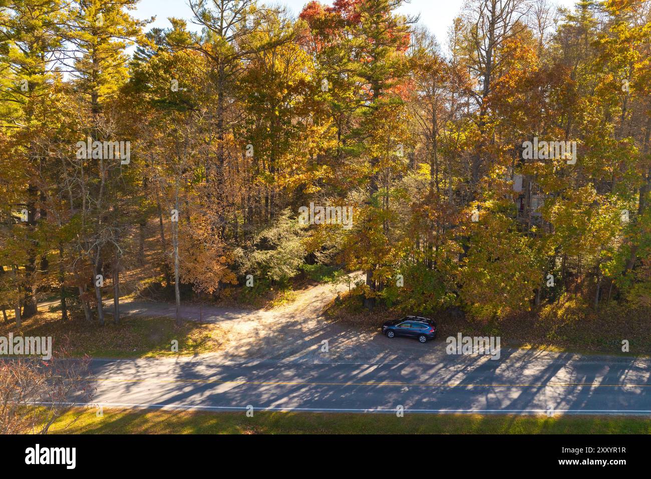 Winding parkway road in colorful mountain forest with yellow canopies ...