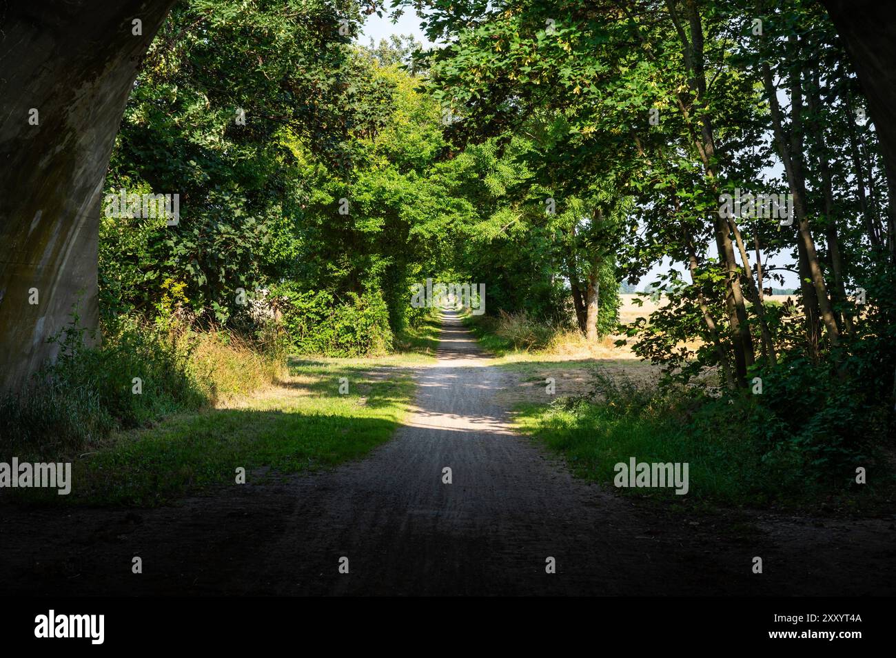 Asphalt cycling path through the green fields at the Danish countryside ...
