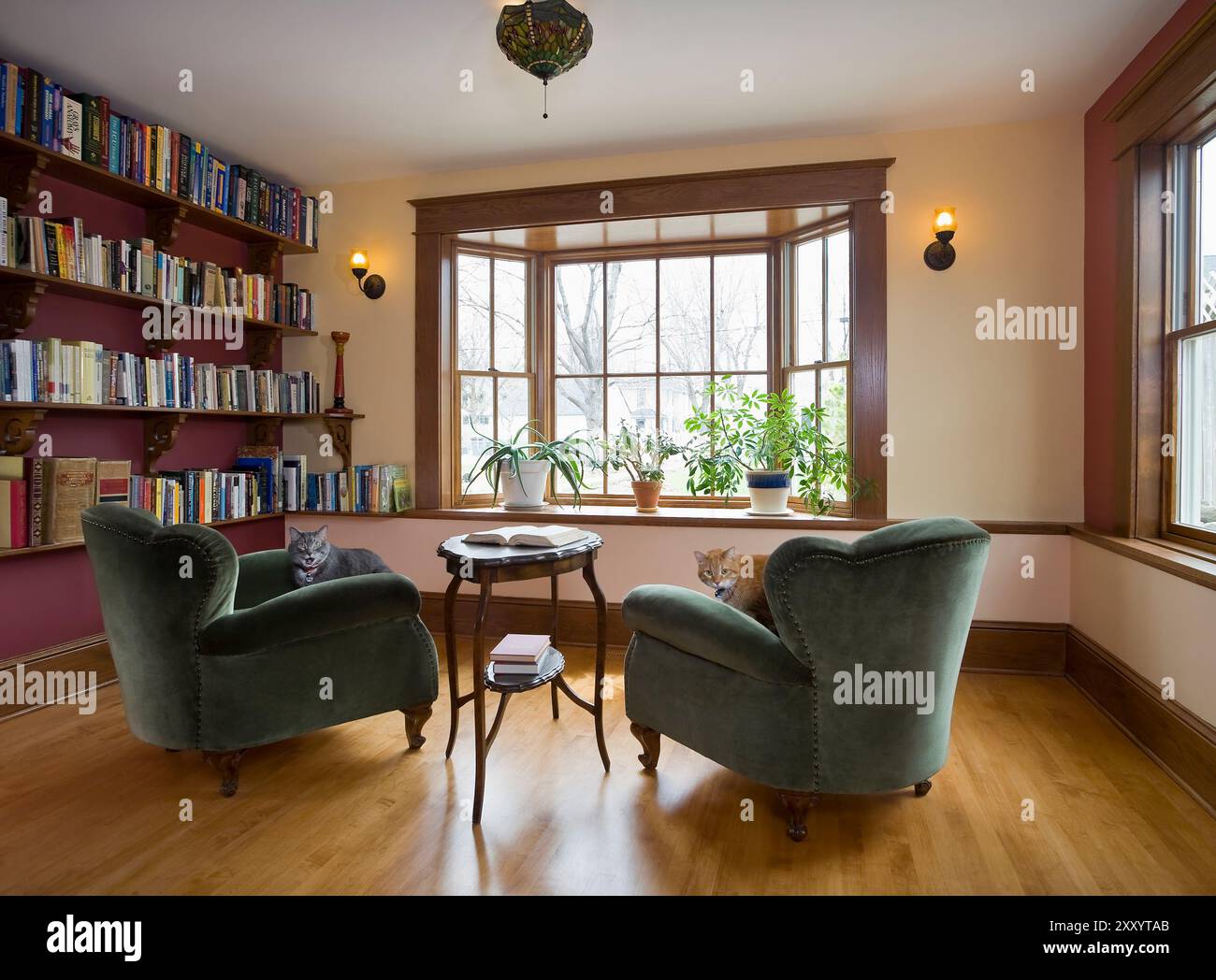 Two cats sit on green velvet chairs in library Stock Photo - Alamy