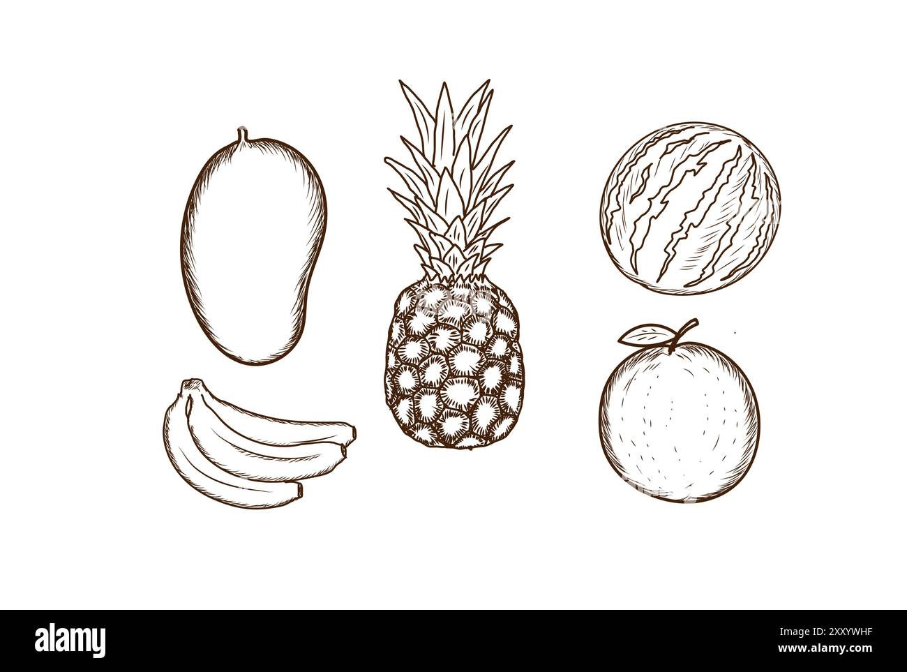 Vintage Retro Hand Drawn Fruits Mango Banana Watermelon Orange ...