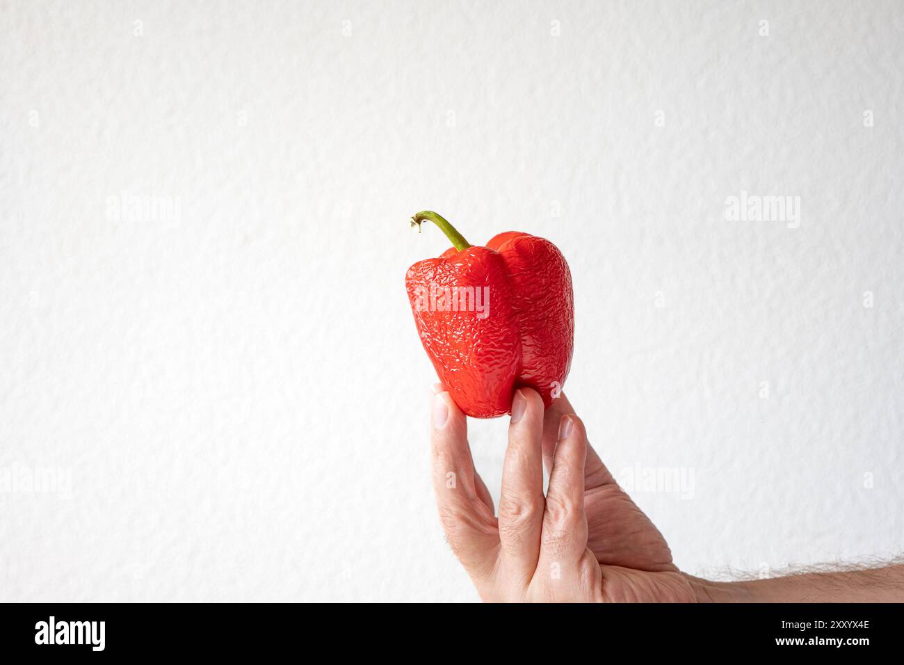 Red, spoiled, wrinkled or overripe bell pepper against white background ...