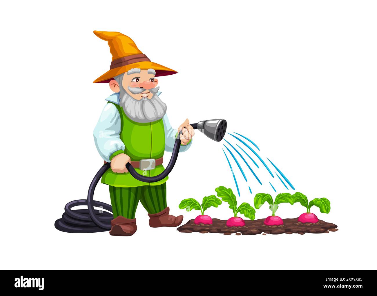 Gnome dwarf character watering the crops. Isolated cartoon vector elf ...