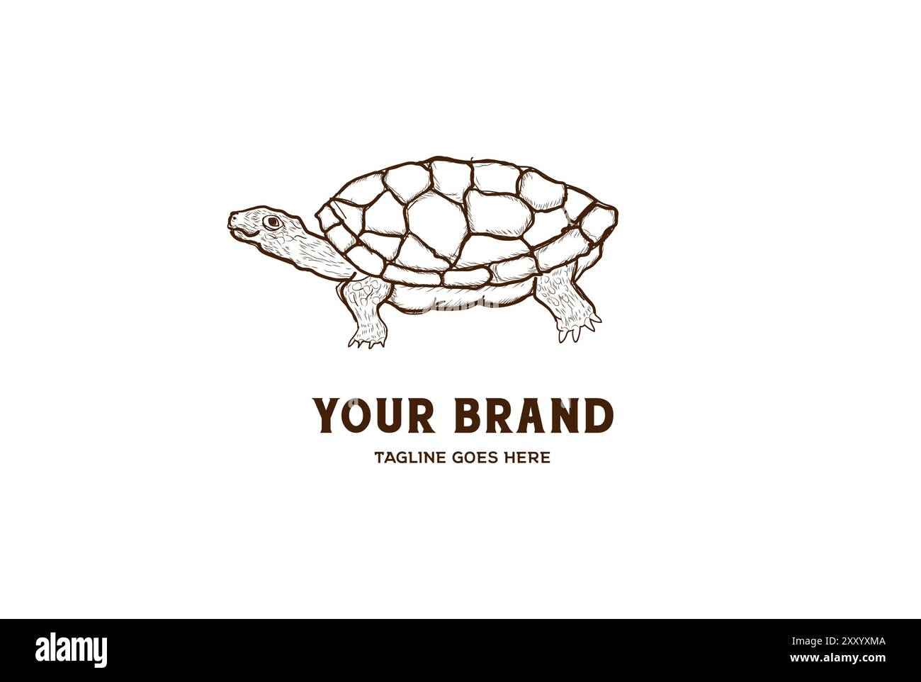 Vintage Retro Hand Drawn Turtle Logo Design Vector Stock Vector Image ... Vintage Retro Hand Drawn Turtle Logo Design Vector Stock Vector Image ...