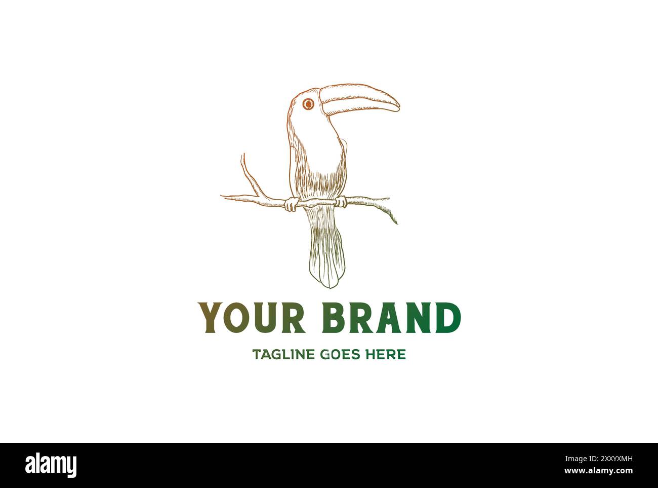 Toucan tropical bird hand Cut Out Stock Images & Pictures - Alamy