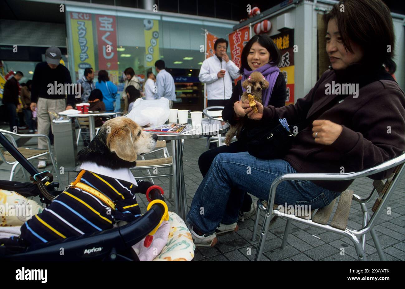 Pet stroller hi-res stock photography and images - Alamy
